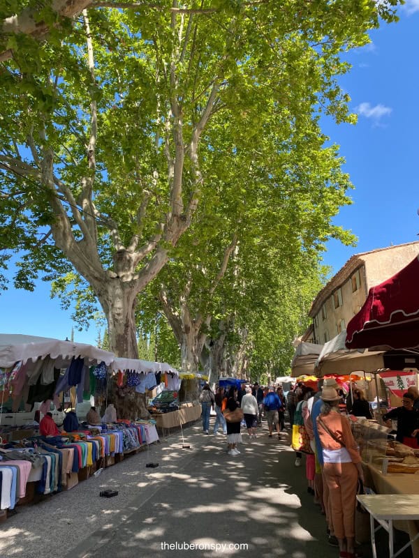 15 Unforgettable Things to Do in Provence for Luberon Virgins (2025)